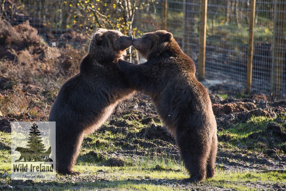 Wild Ireland – Visit Carndonagh, County Donegal